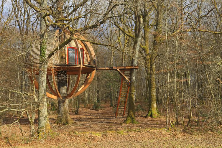 Inspiring Tree Houses, in Collaboration With Glamping Hub